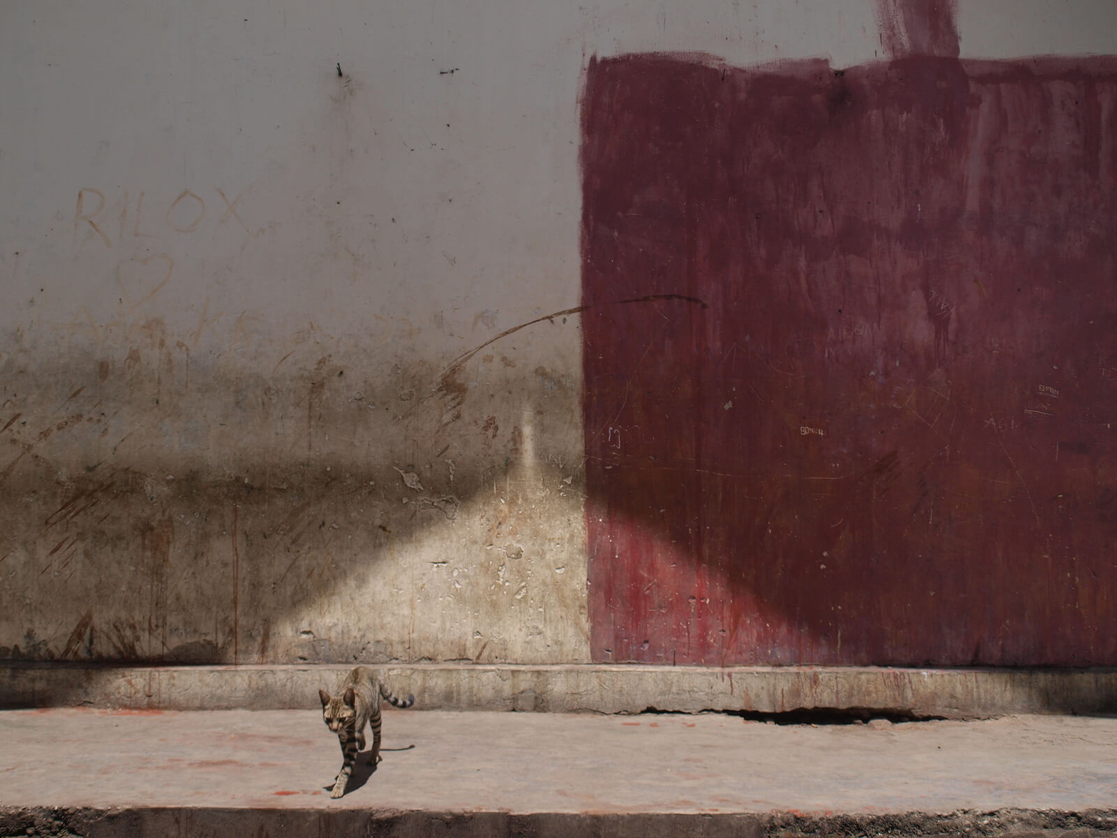 - David-Gil - Phases Magazine