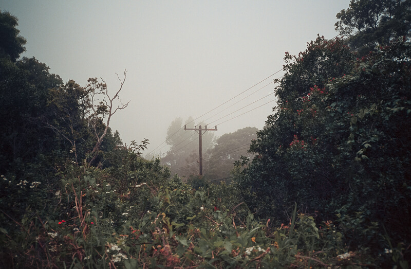 - cc_PHASES-104 - Phases Magazine