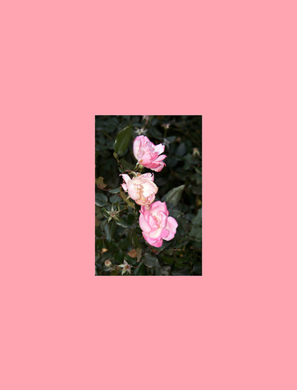 Andrew Eargle - Wonder Unto Wonder Existence Opens - Phases Magazine