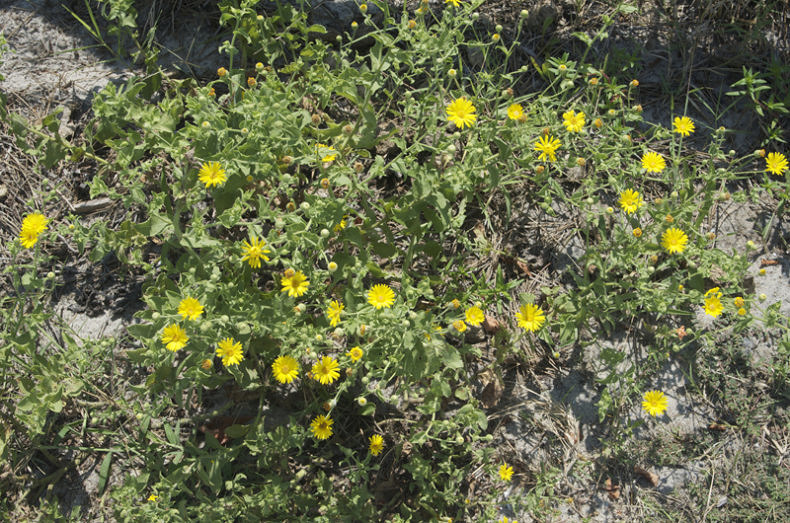 Andrew Eargle - Wonder Unto Wonder Existence Opens - Phases Magazine