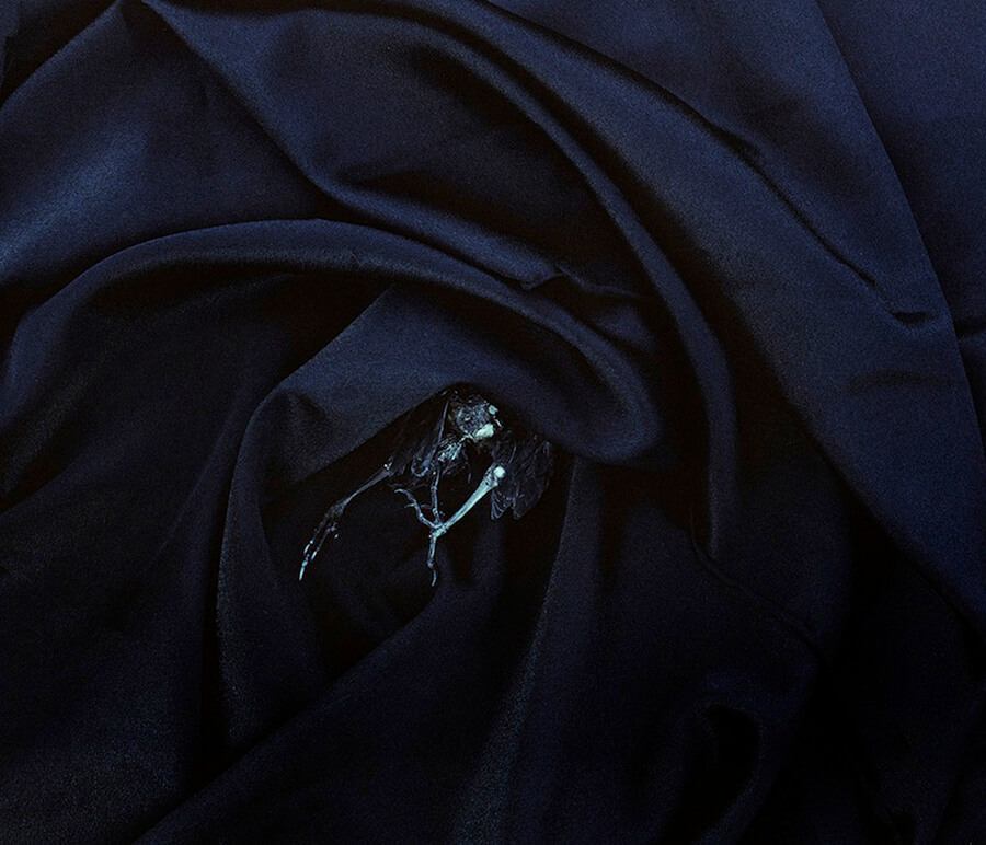 Anna Block - Urgency of Now - Phases Magazine