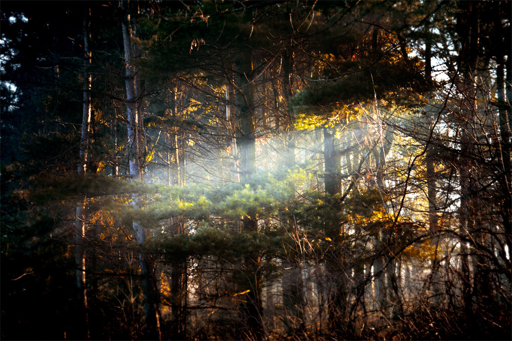 Grant Gill - The Recondite - Phases Magazine