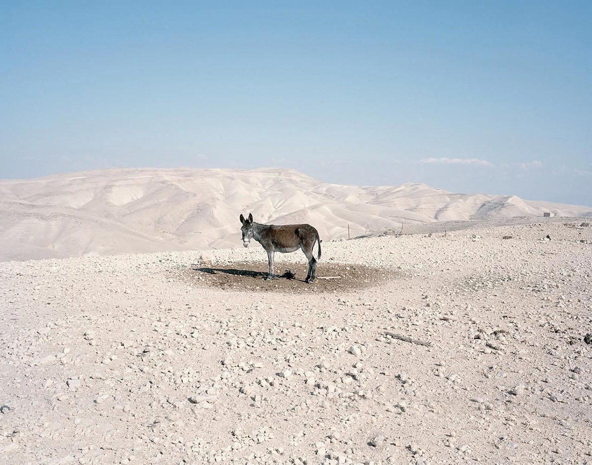 - Paris Petridis - Phases Magazine