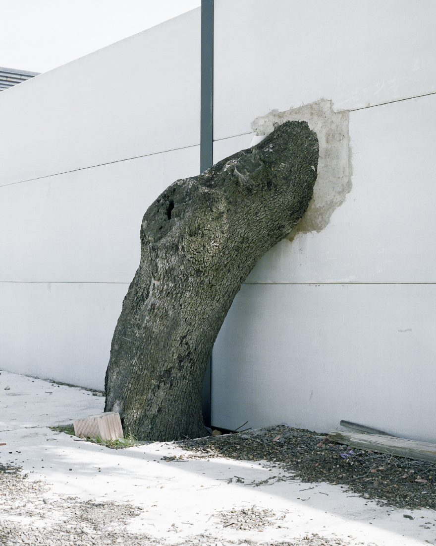 - Alex Catt - Phases Magazine