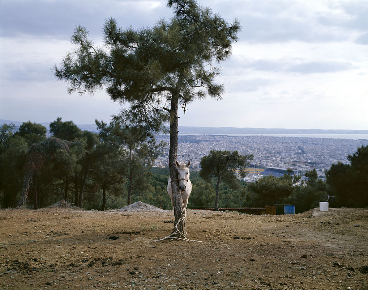 - Paris Petridis - Phases Magazine