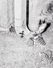 Gallery - Phases Magazine