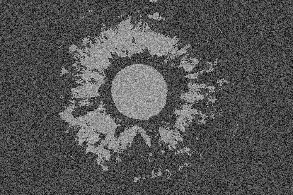 Dmitrii Vasilev Hide In The Light Phases Magazine