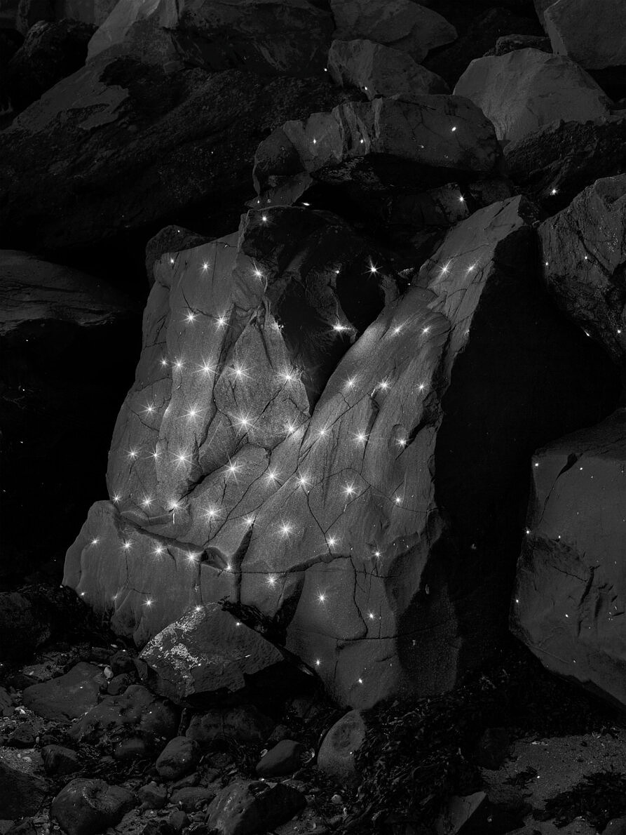 David Biro - Front End - Phases Magazine