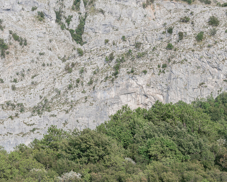 Davide Maria Palusa - Elogio all’azione silenziosa - Phases Magazine