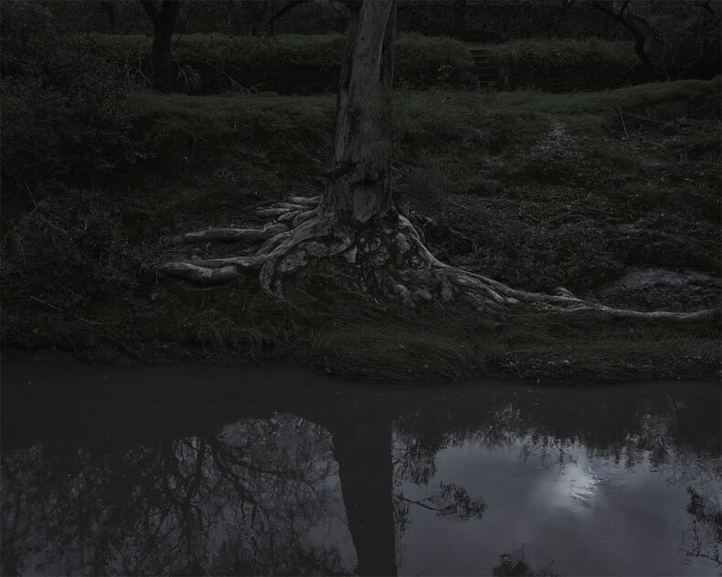 Nikos Markou - The River - Phases Magazine